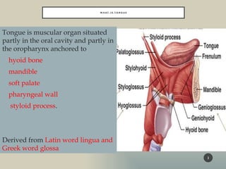 TONGUE ITS ANATOMY DEVELOPMENTAL ANOMALIES AND PROSTHODONTIC ...