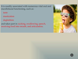 TONGUE ITS ANATOMY DEVELOPMENTAL ANOMALIES AND PROSTHODONTIC ...