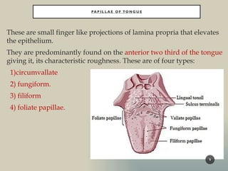 TONGUE ITS ANATOMY DEVELOPMENTAL ANOMALIES AND PROSTHODONTIC ...