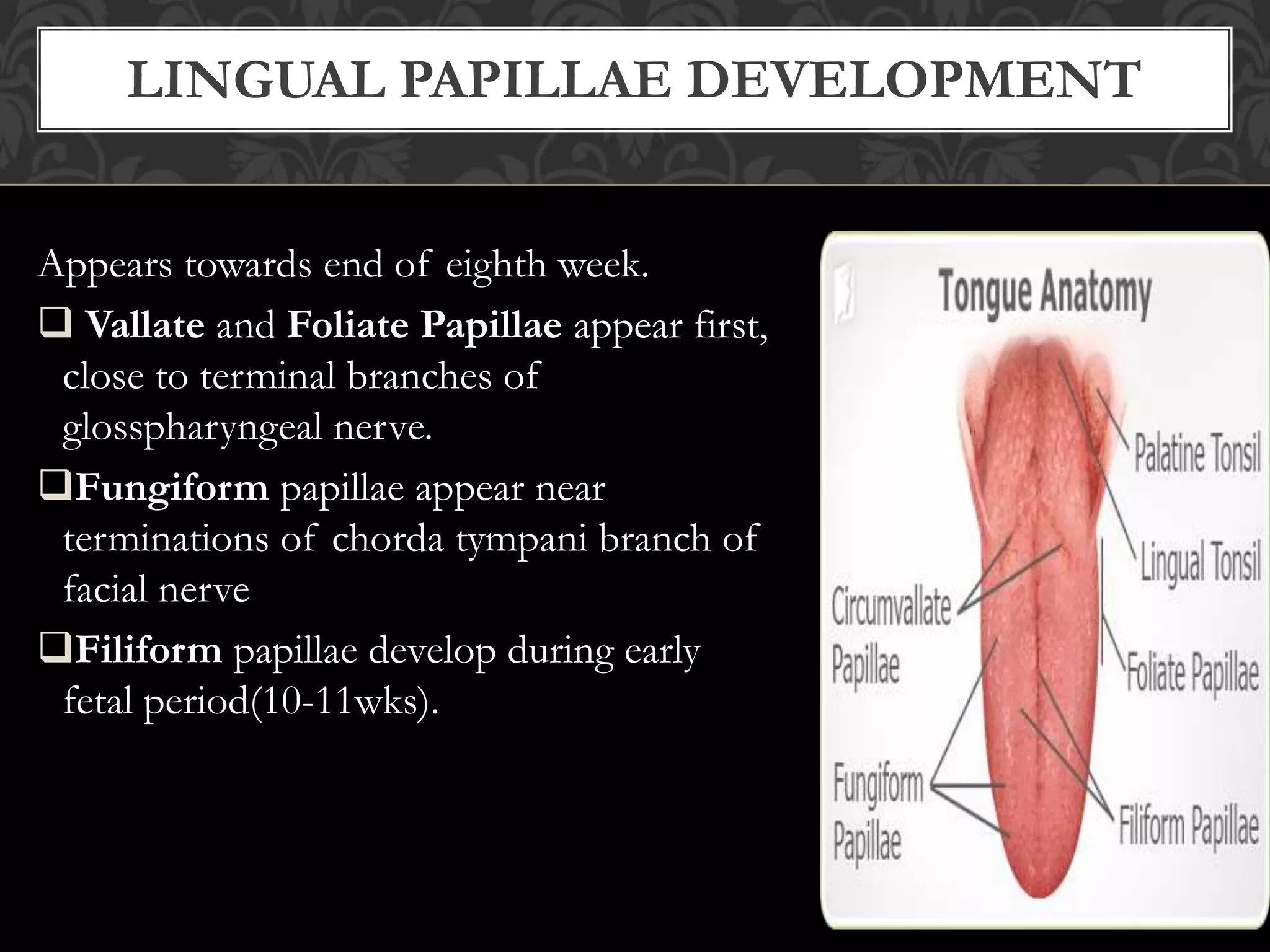 Tongue and palate | PPTX