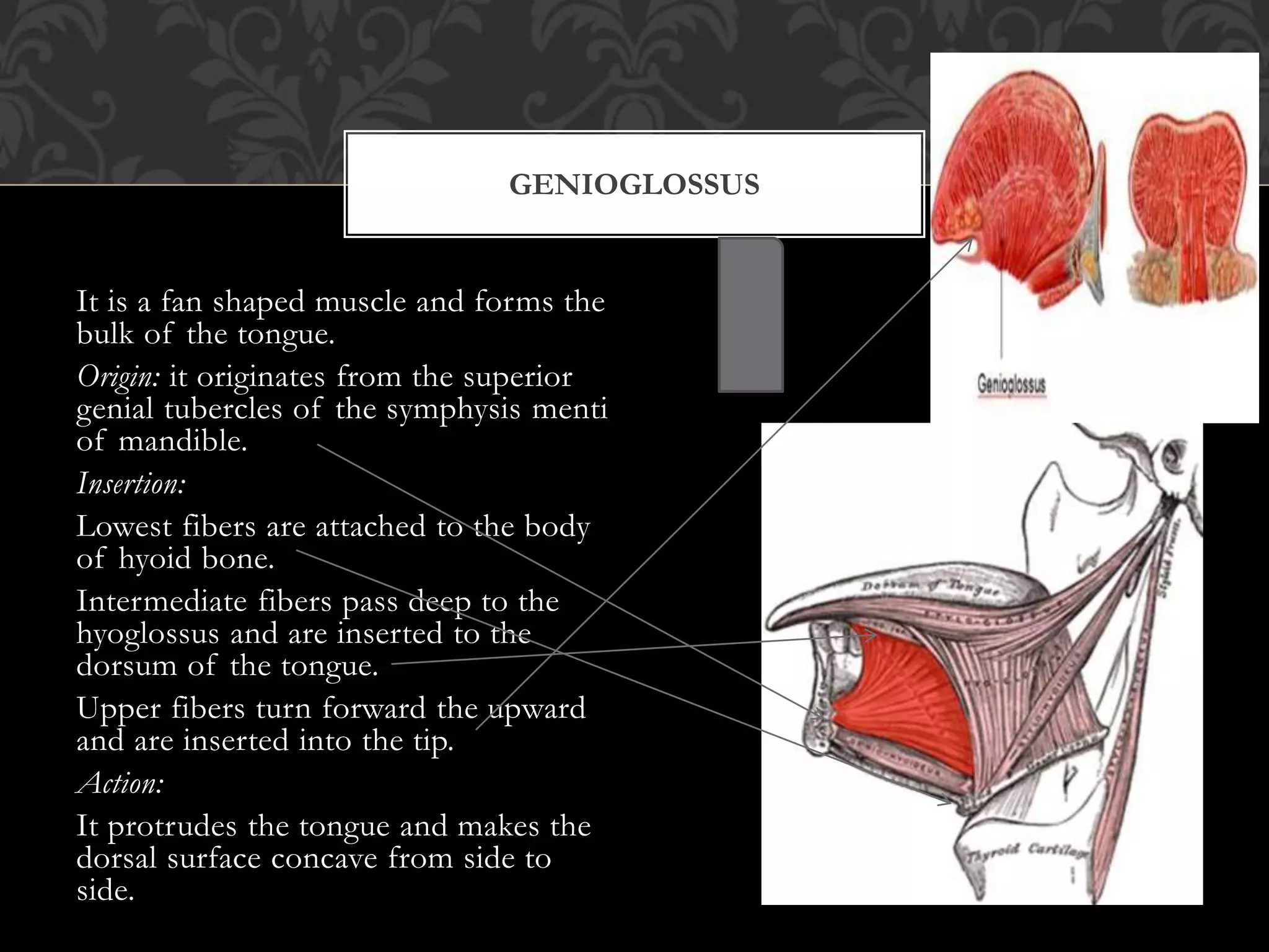 Tongue and palate | PPTX