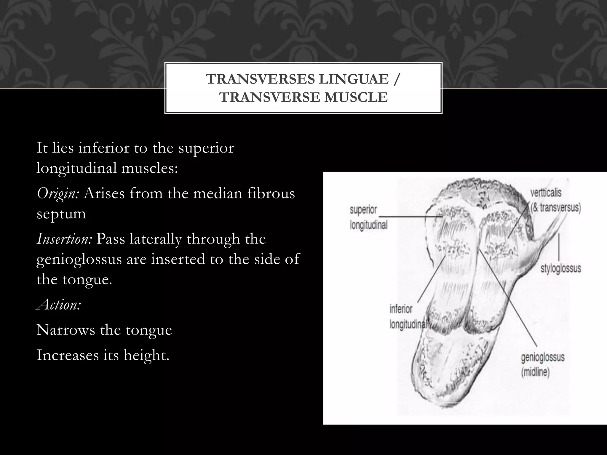 Tongue and palate | PPTX