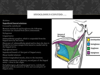 Tongue and palate | PPTX