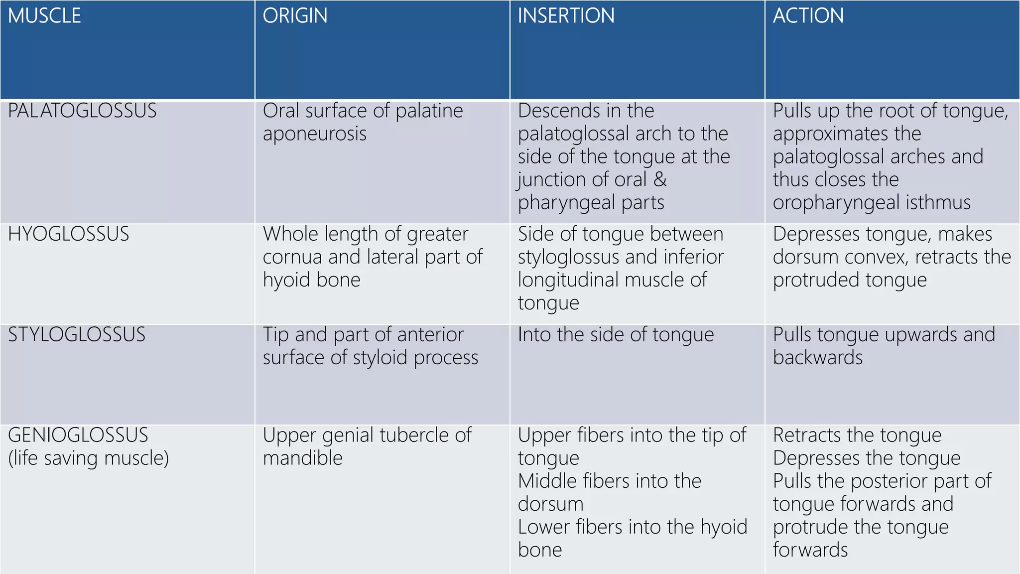 Tongue | PPTX