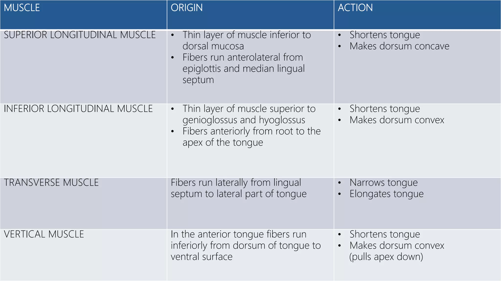 Tongue | PPTX