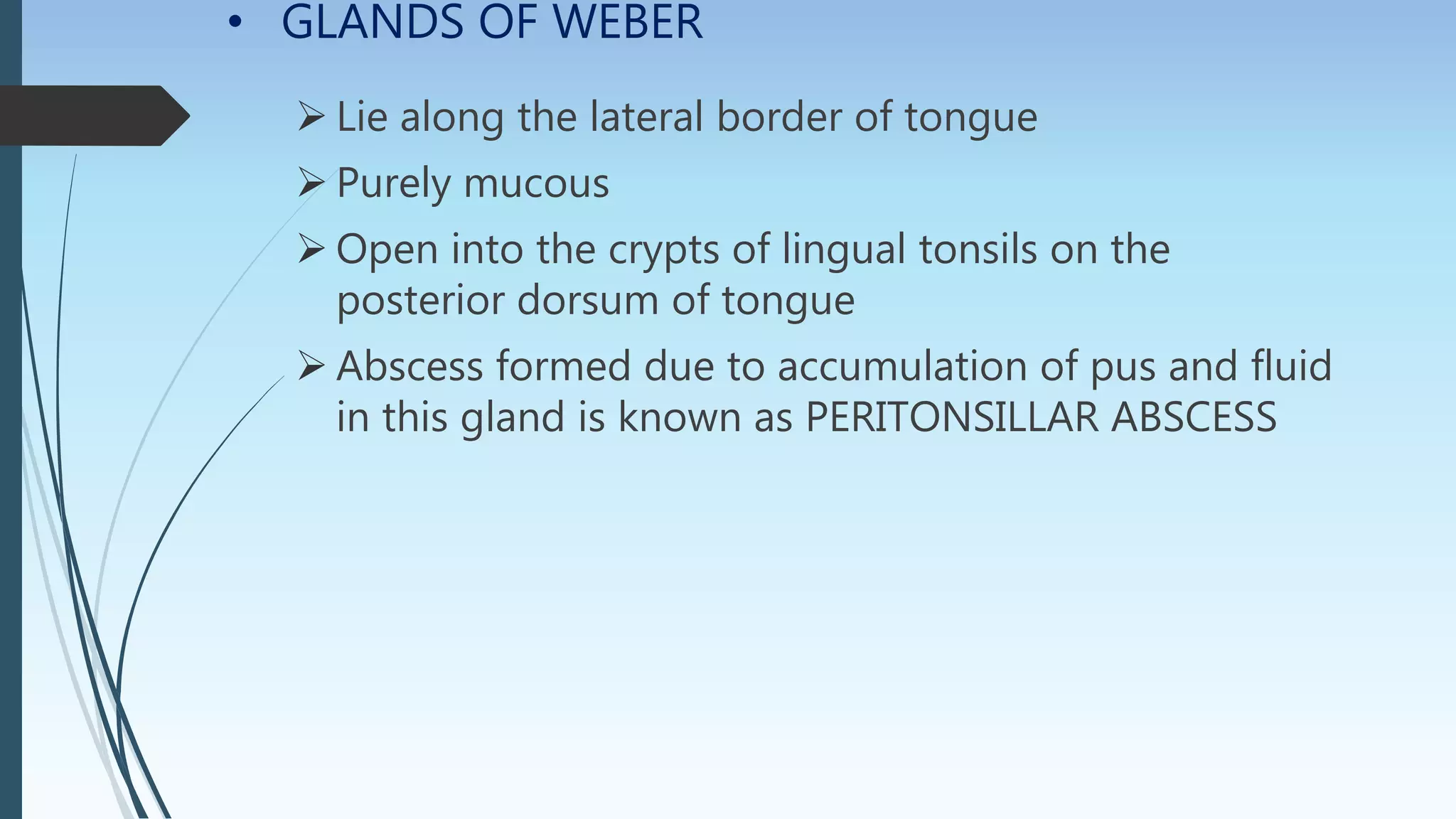 Tongue | PPTX