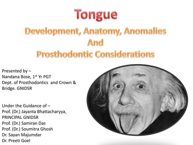 Tongue development,anatomy,prosthetic consideration | PPTX | Ear, Nose ...