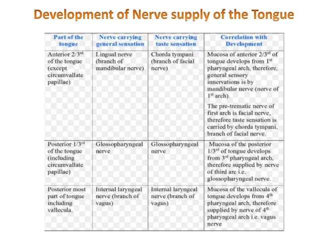 Tongue development,anatomy,prosthetic consideration | PPTX | Ear, Nose ...