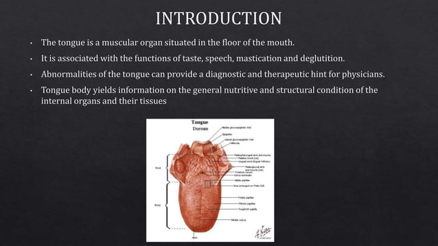 Tongue ebryology, anatomy and applied aspects-Dr. Sarath SK | PPT