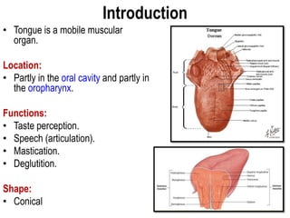 tongue-I.pptx