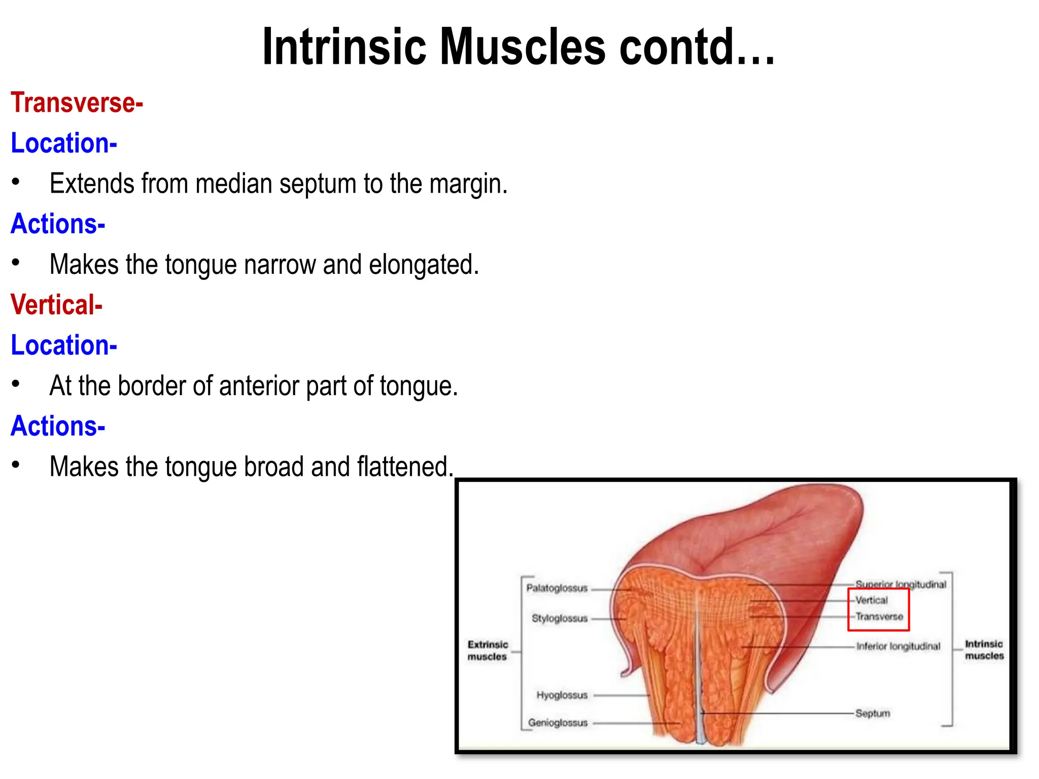 Tongue I I Pptx