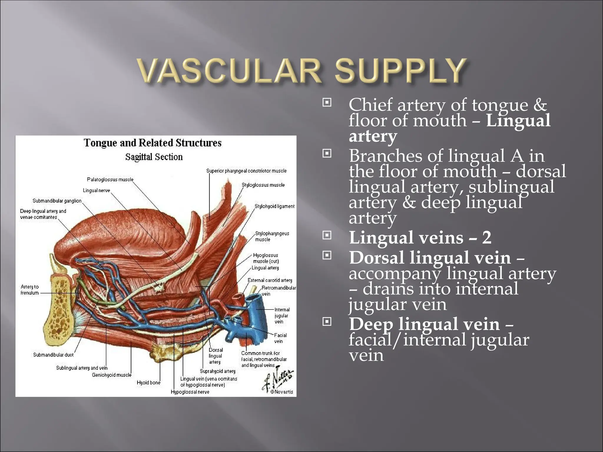 TONGUE/supply to tongue,function of tongue | PPT