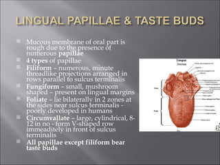 TONGUE/supply to tongue,function of tongue | PPT