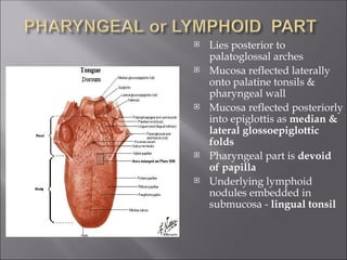 TONGUE/supply to tongue,function of tongue | PPT