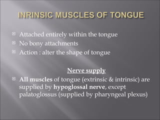 TONGUE-SK.ppt function and nerve supply of tongue | PPT