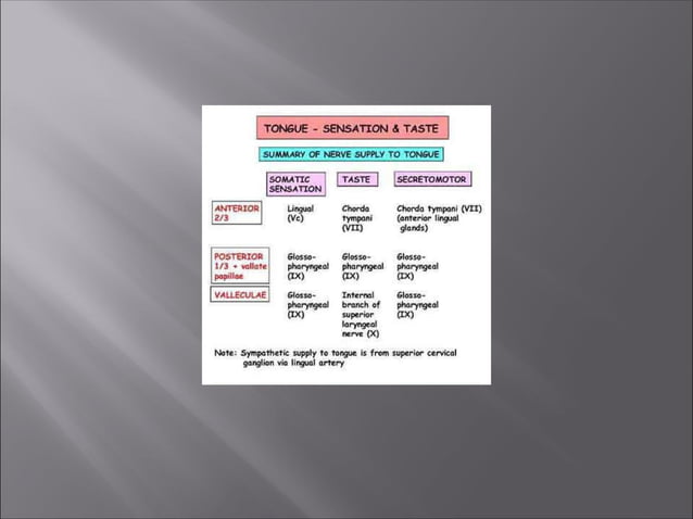 TONGUE-SK.ppt function and nerve supply of tongue | PPT