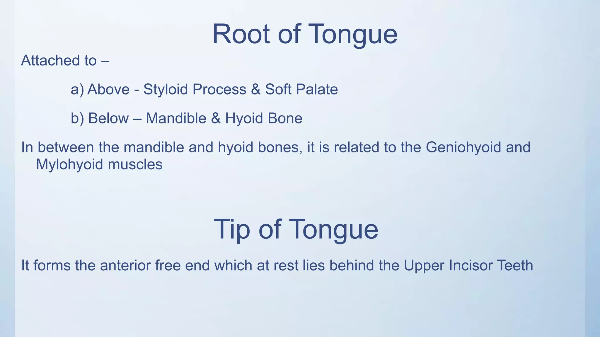 Tongue (Anatomy & Physiology) | PPTX
