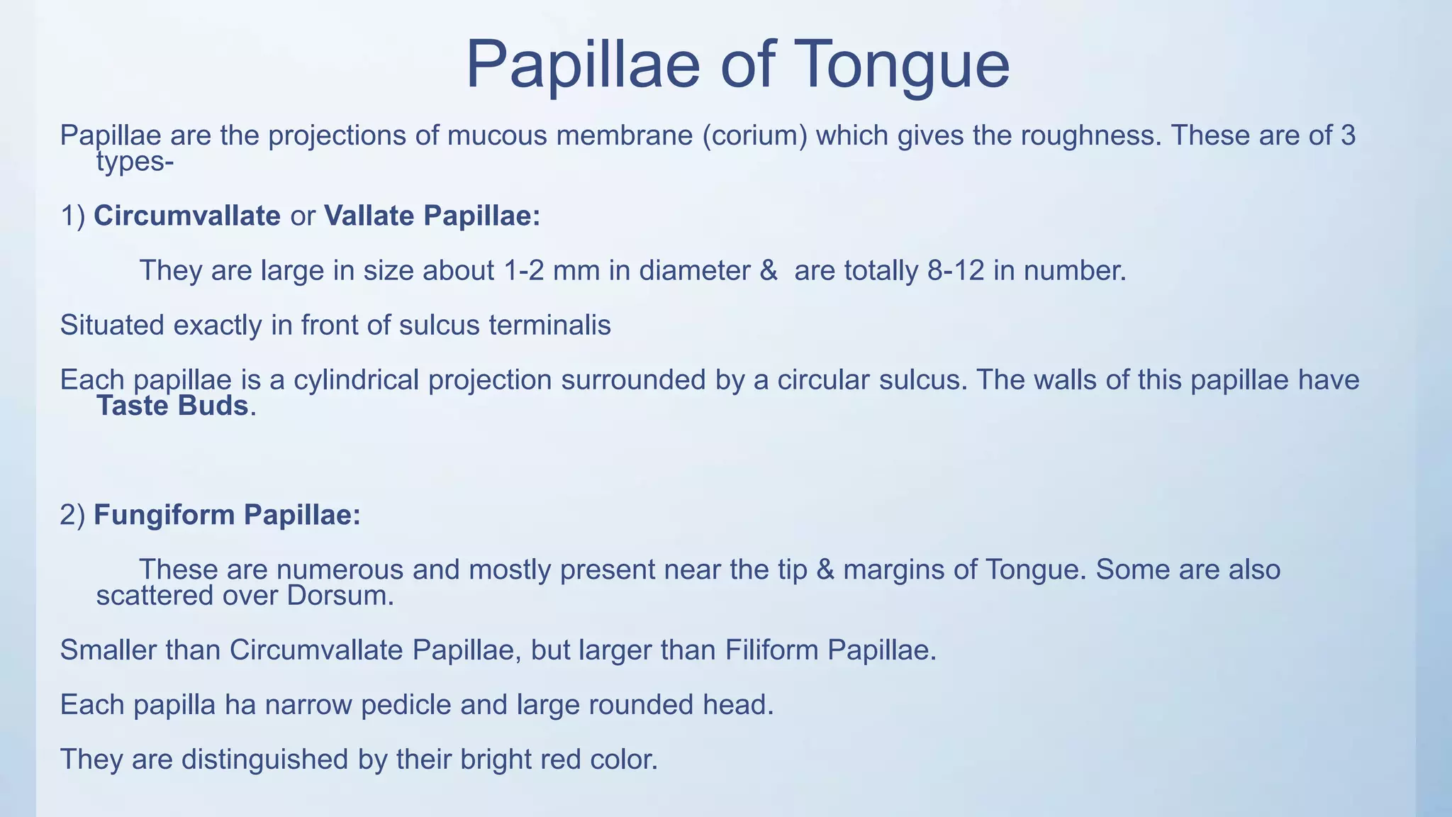 Tongue (Anatomy & Physiology) | PPTX