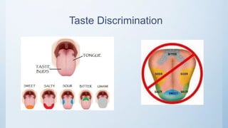 Tongue (Anatomy & Physiology) | PPTX