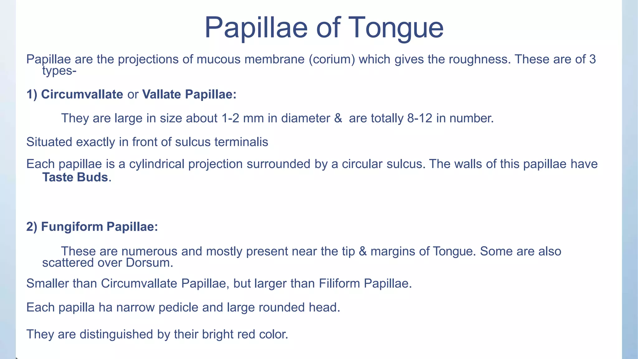 Tongue Anatomy & Physiology | PPTX
