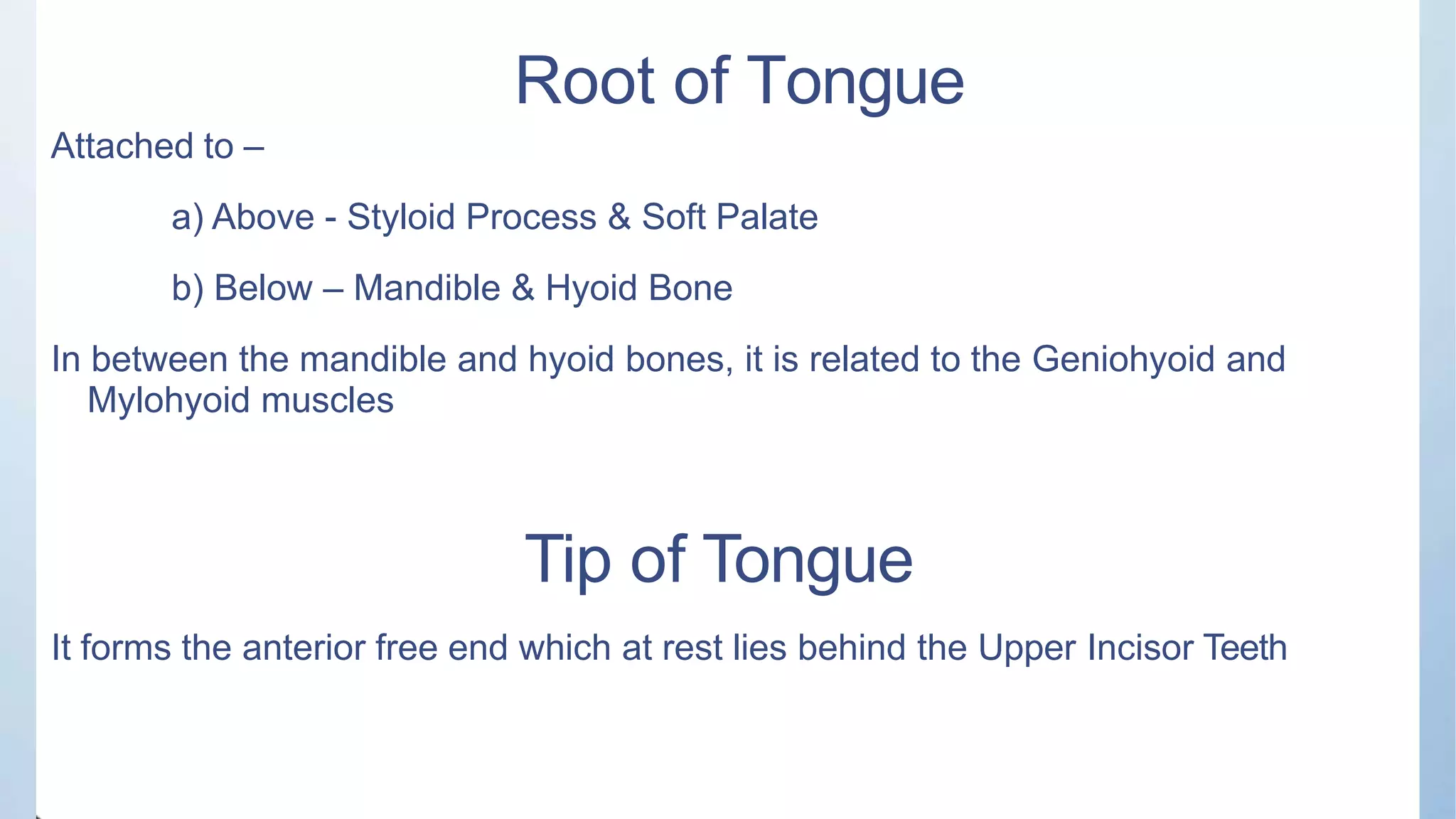 Tongue Anatomy & Physiology | PPTX