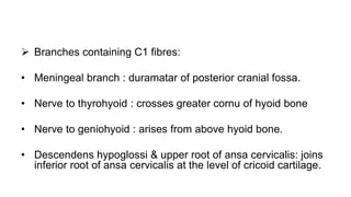 tongue and hypoglossal nerve.ppt