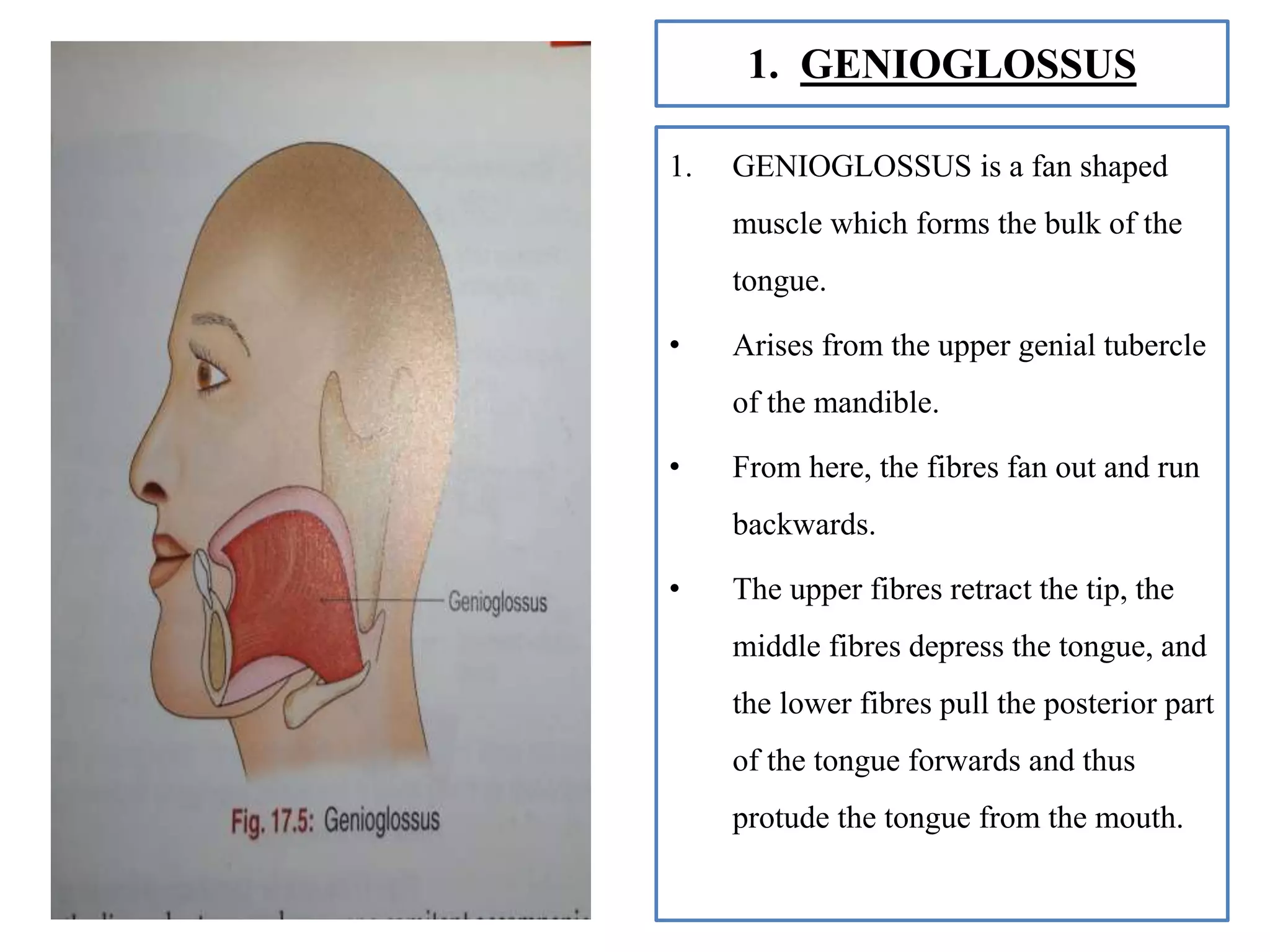 Tongue and its applied aspects | PPTX