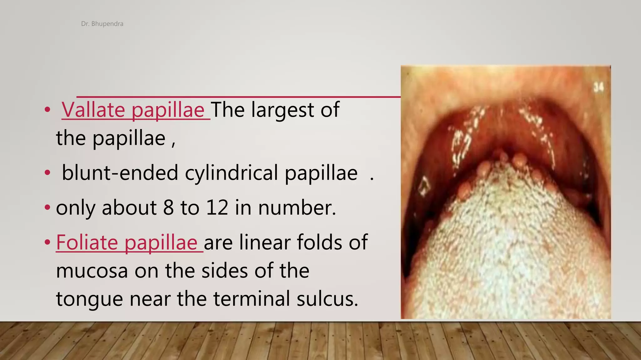 Tongue and its prosthodontic considerations | PPTX