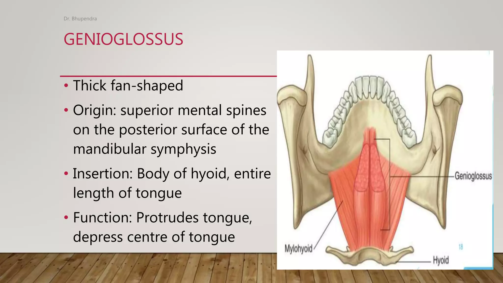 Tongue and its prosthodontic considerations | PPTX