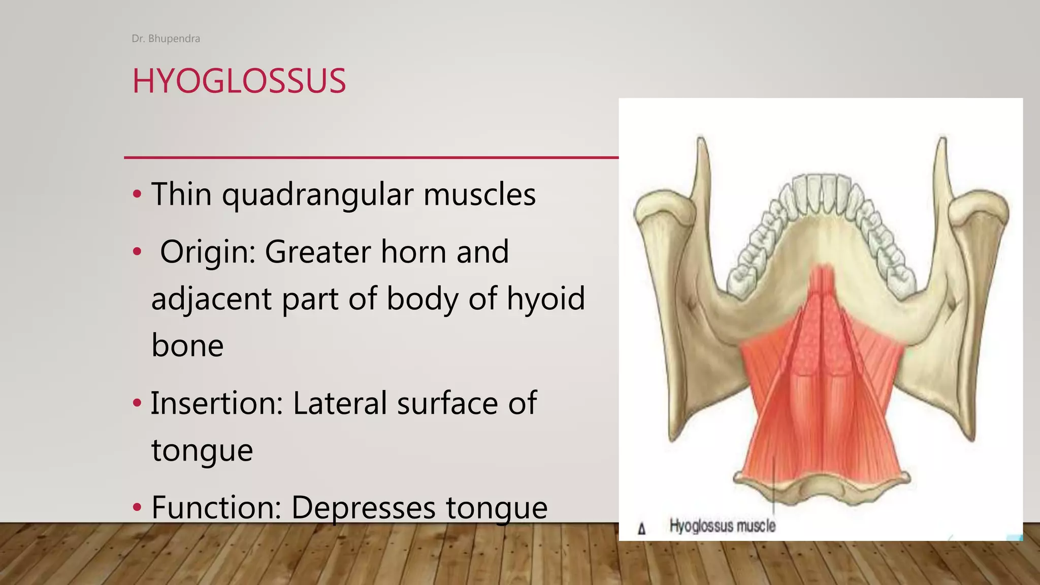 Tongue and its prosthodontic considerations | PPTX