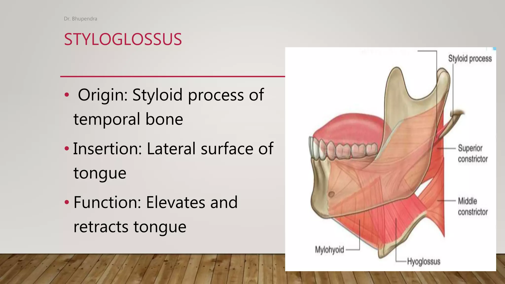 Tongue and its prosthodontic considerations | PPTX