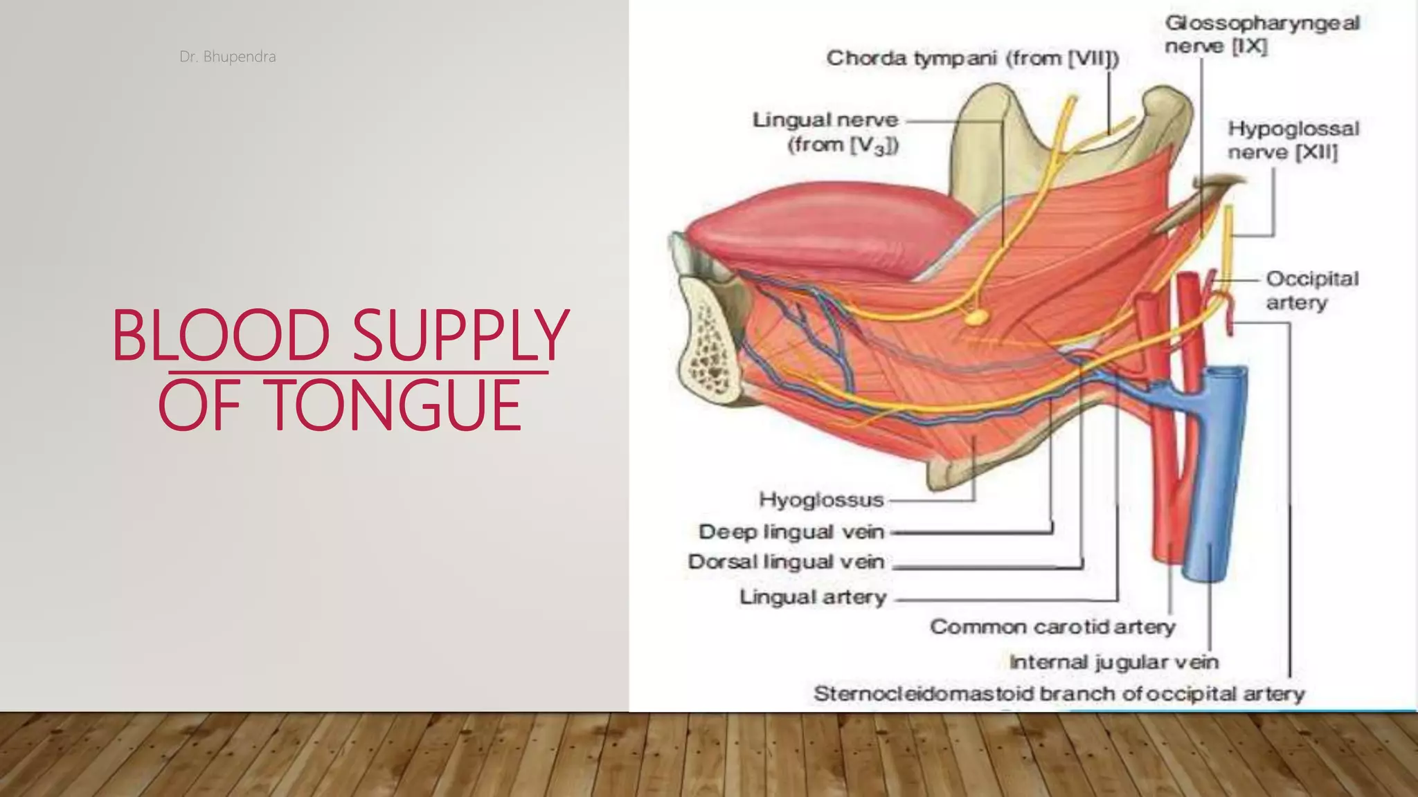 Tongue and its prosthodontic considerations | PPTX