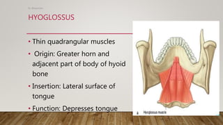 Tongue and its prosthodontic considerations | PPTX