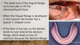 Tongue and its prosthodontic considerations | PPTX