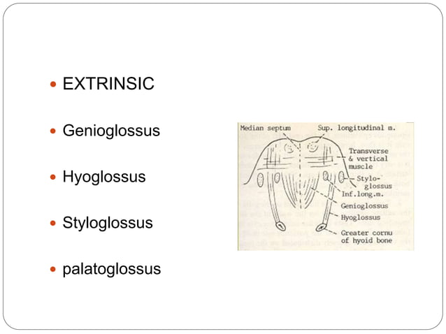 Tongue and malocclusion - by DR. GAURAV VARMA . MDS | PPTX
