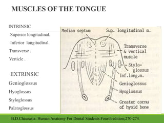 tongue and malocclusion - Copy.pptx