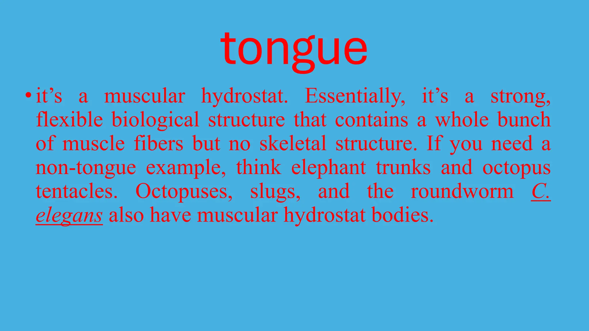 tongue disease lecture Dr Assadawy legacy | PDF