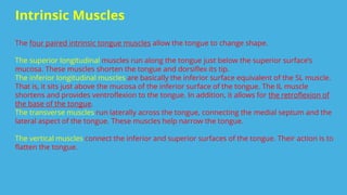 tongue disease lecture Dr Assadawy legacy | PDF
