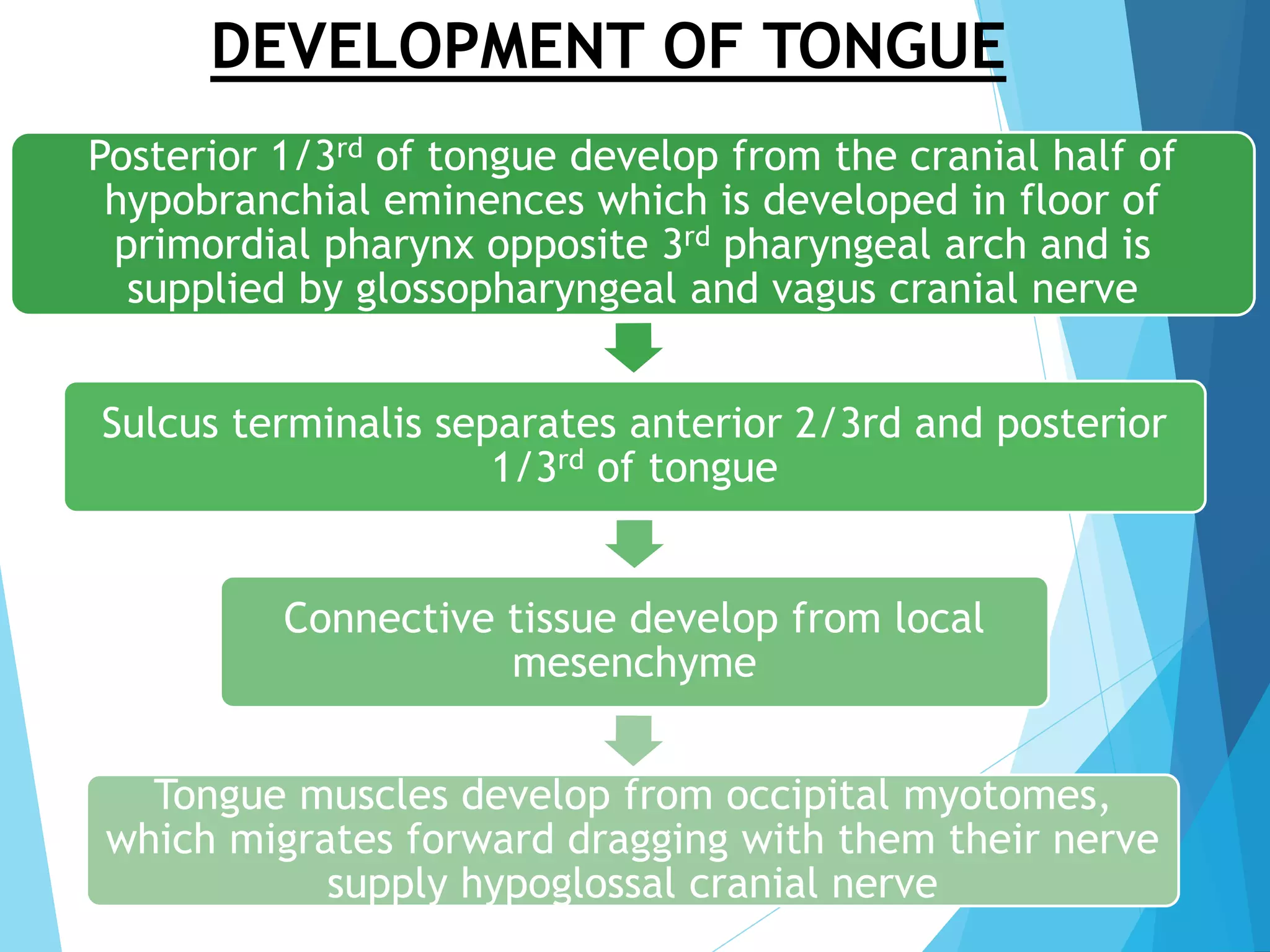 Tongueanatomy And Clinical Aspects Ppt