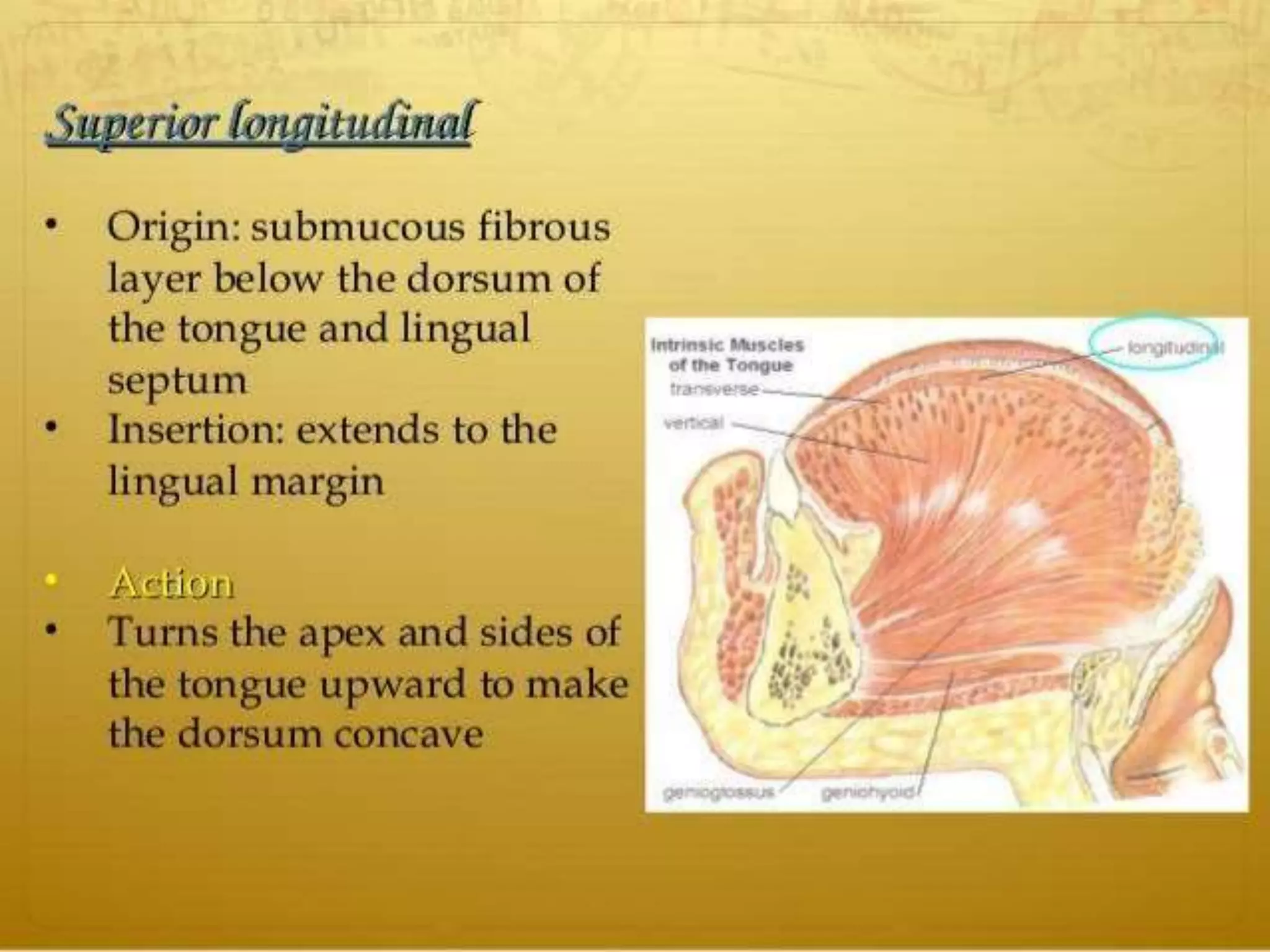 Tongue Flaps | PPTX