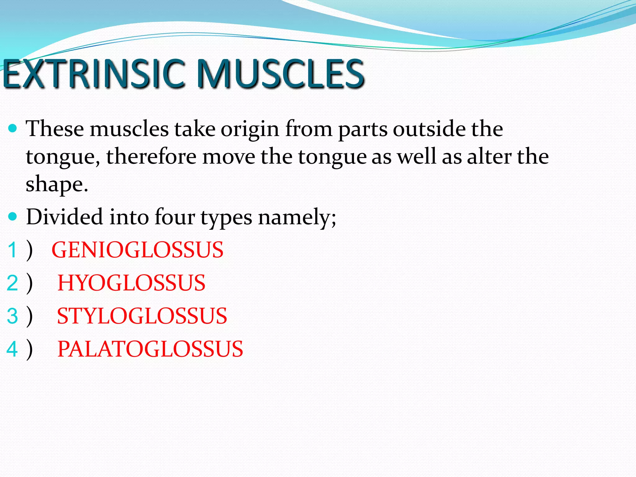 Anatomy of Tongue | PPTX