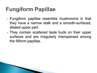 TONGUE HISTOLOGY.pdf