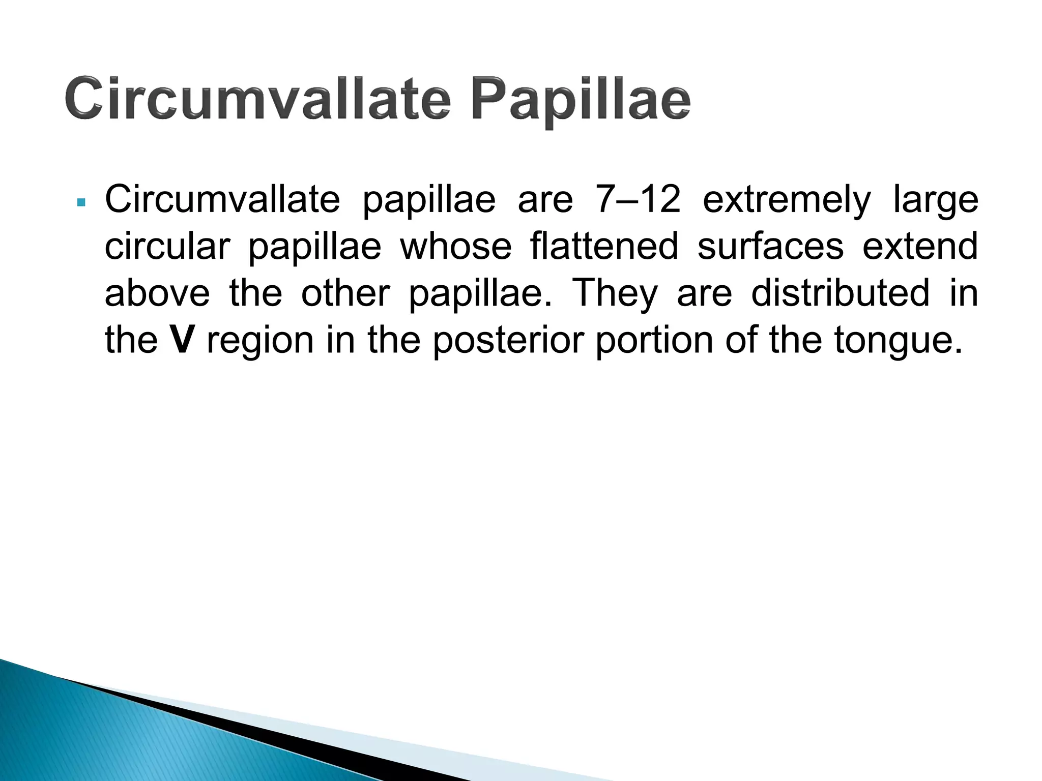 TONGUE HISTOLOGY.pdf