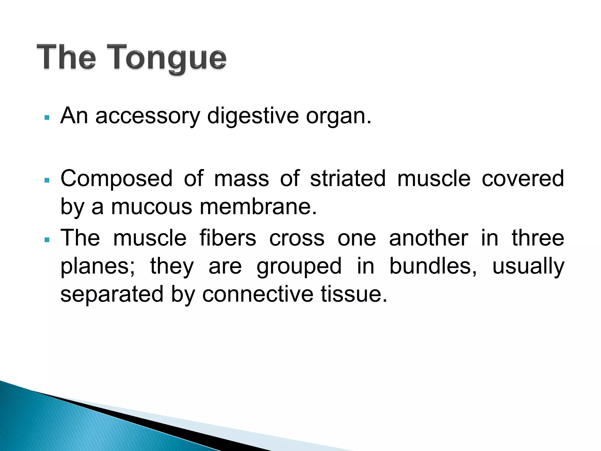 TONGUE HISTOLOGY.pdf