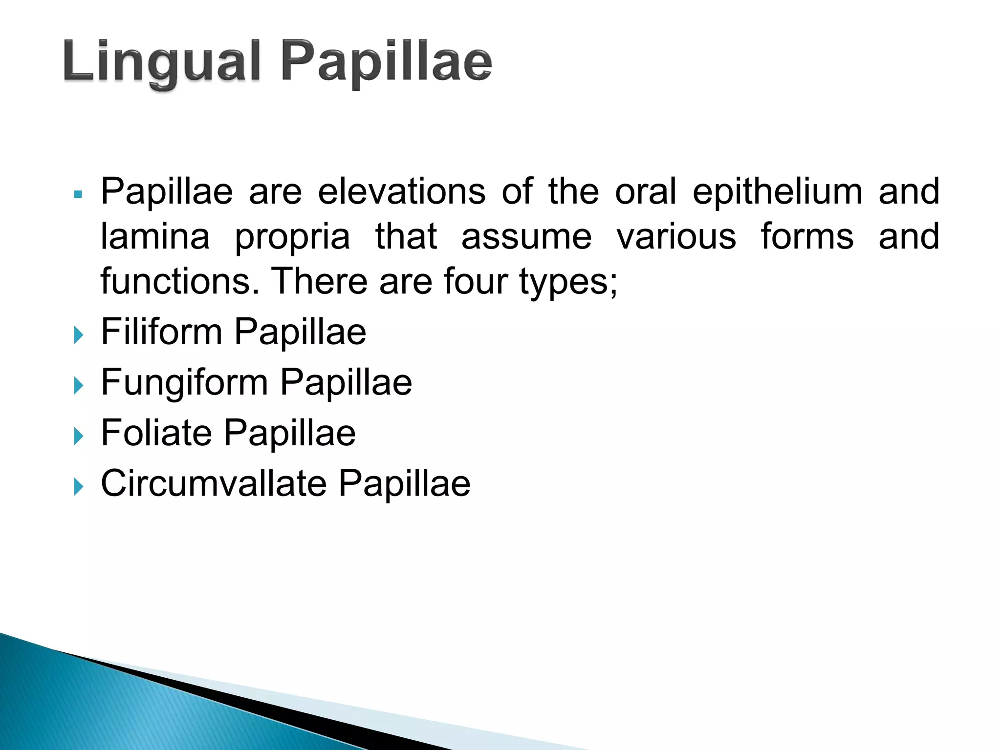 TONGUE HISTOLOGY.pdf