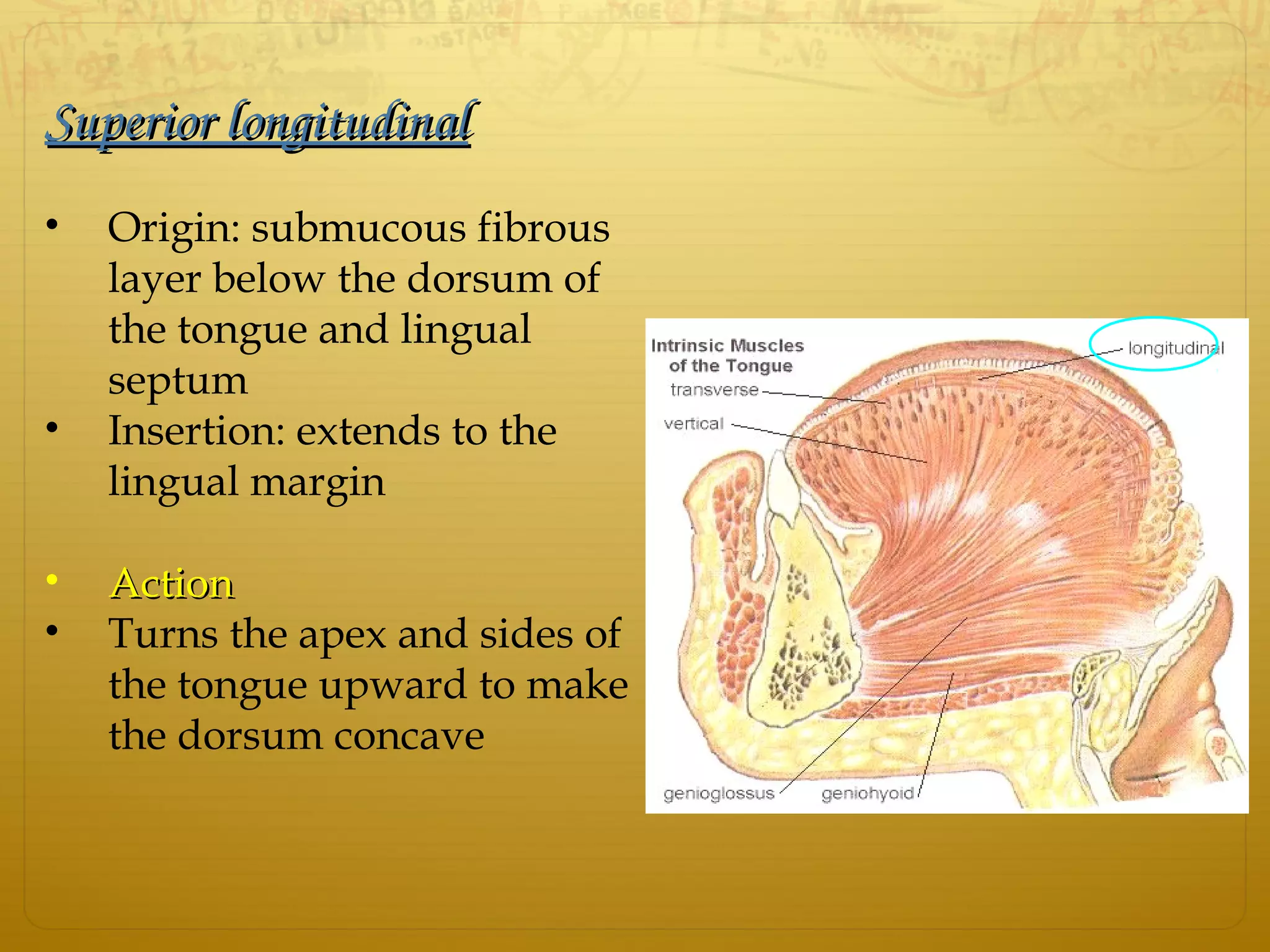 Tongue ppt | PPT | Ear, Nose and Throat Conditions | Diseases and ...