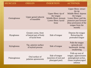 Tongue ppt | PPT