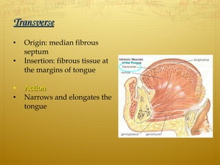 Tongue ppt | PPT