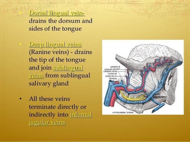 Tongue ppt