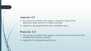 TONGUE ppt.pptx